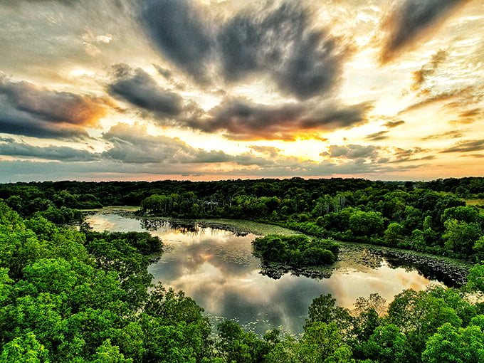 Sunset transforms Whitnall Park's pond into a mirror of golden light, where clouds and trees create a double image of natural perfection.