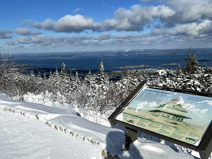 Winter transforms Cadillac Mountain into a frosted wonderland, where snow-dusted evergreens stand like sentinels against the blue horizon.