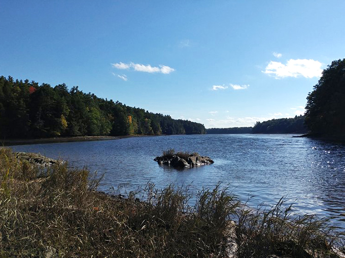 Peaceful waters flow through Vaughan Woods in Hallowell, surrounded by tall trees, gentle sunlight, and the calm natural beauty of Maine.