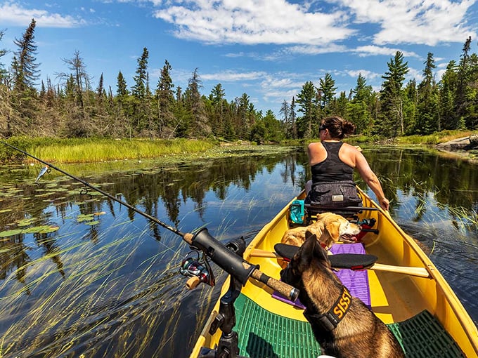 Boundary Waters canoeists paddle across pristine waters so clear you can count pebbles on the lake bottom twenty feet below.