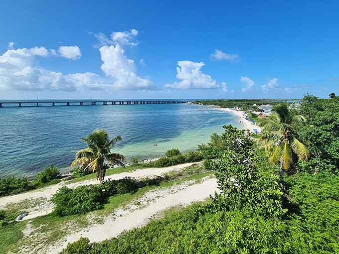 A jogger enjoys miles of empty beach beneath swaying palms, living their best Florida life one footprint at a time.