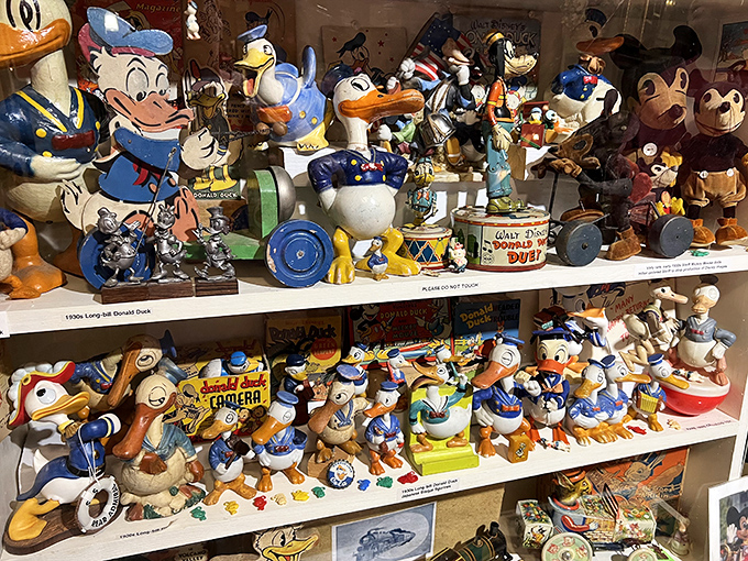 Donald Duck through the decades! Fawcett's Museum showcases rare Disney collectibles that span nearly a century.