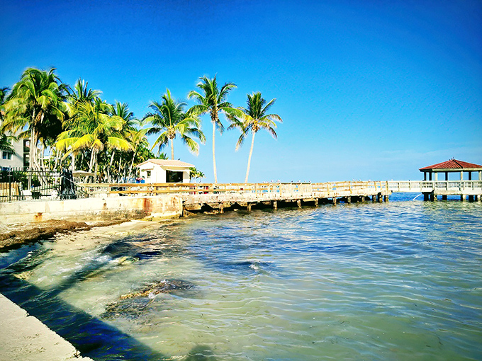 Key West's waterfront welcomes visitors with swaying palms and crystal waters, where boats dock alongside historic piers under endless blue skies.