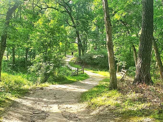 Lebanon Hills' forest trails beckon with dappled sunlight, a green tunnel leading to hidden natural treasures.