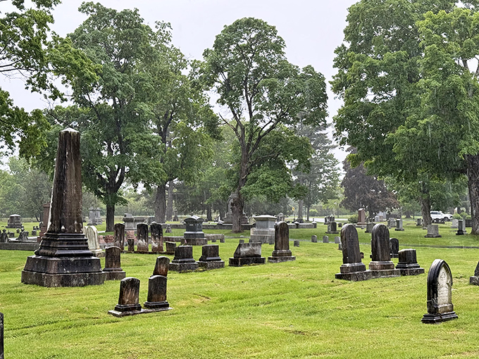 Weathered headstones stand sentinel among ancient trees in Mount Hope Cemetery, where paths wind through a garden of memories.