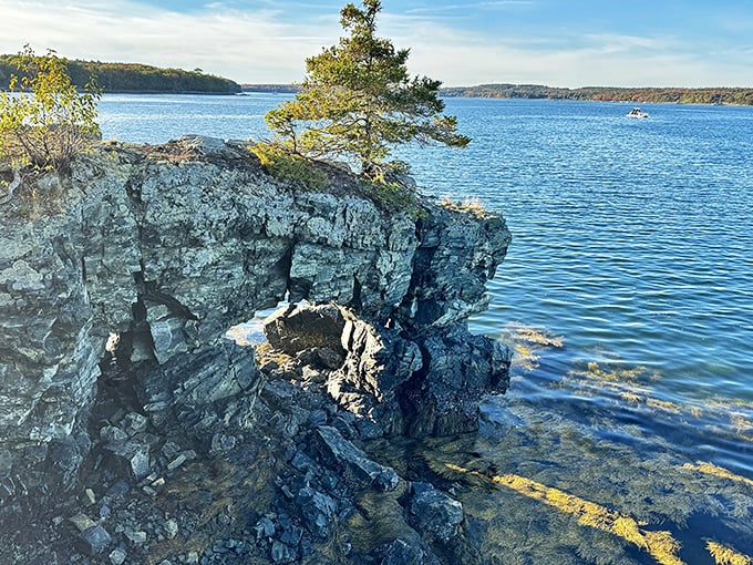 Mount Desert Island's dramatic cliffs plunge into the Atlantic, showcasing the raw power and beauty of Maine's rugged coastline.