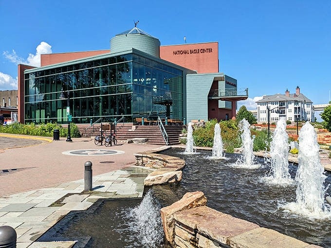 The National Eagle Center's modern architecture reflects its forward-thinking mission, with fountains mimicking the nearby Mississippi River's flow.