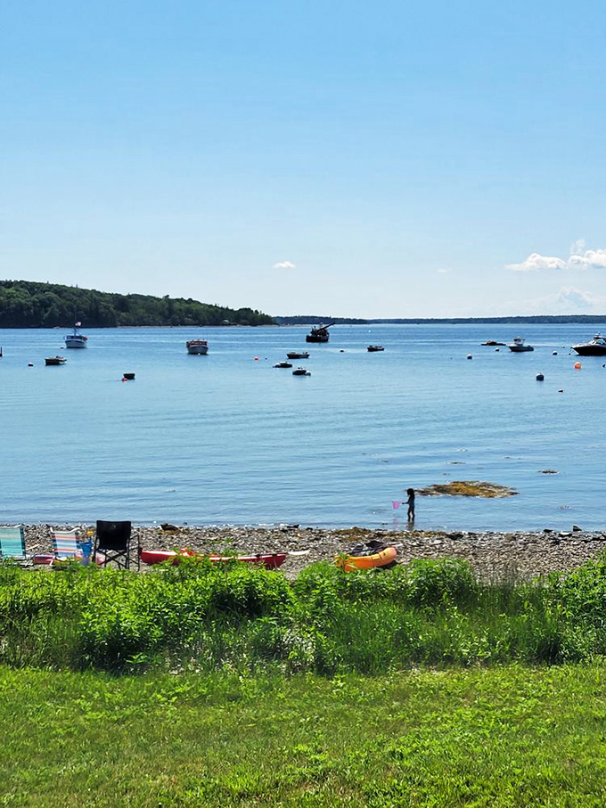 Lamoine State Park's beach curves gently along the bay, with boats dotting the water like confetti on blue silk.