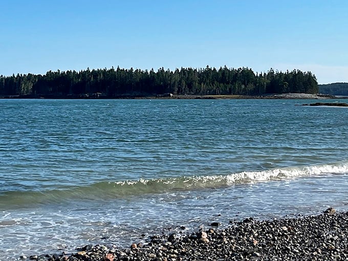 Roque Bluffs combines peaceful forest scenery with productive sea glass hunting grounds far from Maine's more crowded coastal destinations. 