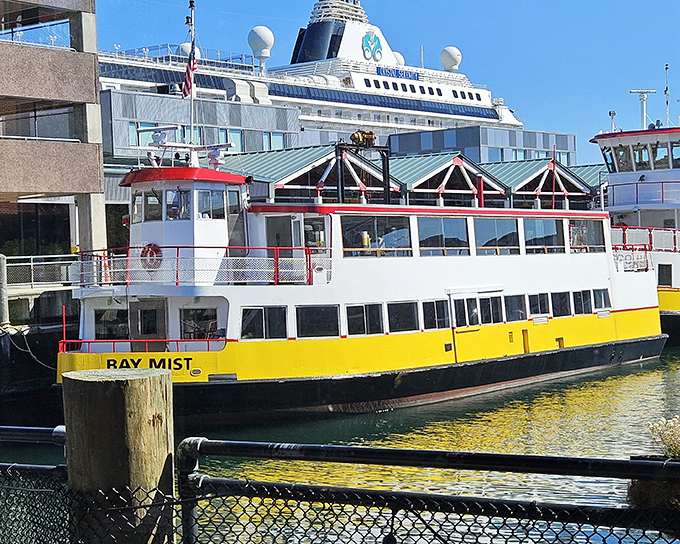The bright yellow Casco Bay Mail Boat combines essential service with spectacular sightseeing, delivering mail and memories to island communities.