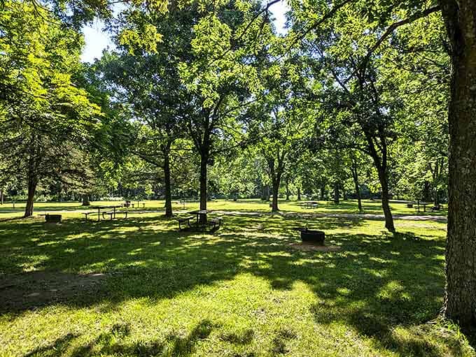 Shady picnic areas at Flandrau State Park offer perfect spots for family gatherings under a canopy of mature trees.