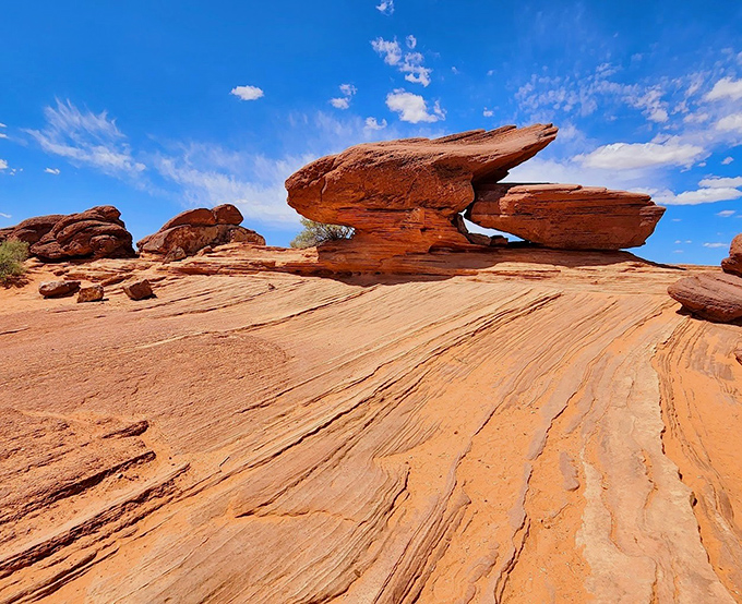 Horseshoe Bend offers one of Arizona's most dramatic views, where the Colorado River wraps around massive sandstone cliffs in a perfect U-turn.