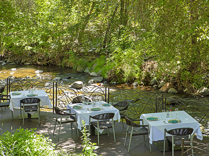 Fresh seafood gets the gourmet treatment at Cress on Oak Creek, where each plate is prepared with artistic precision.