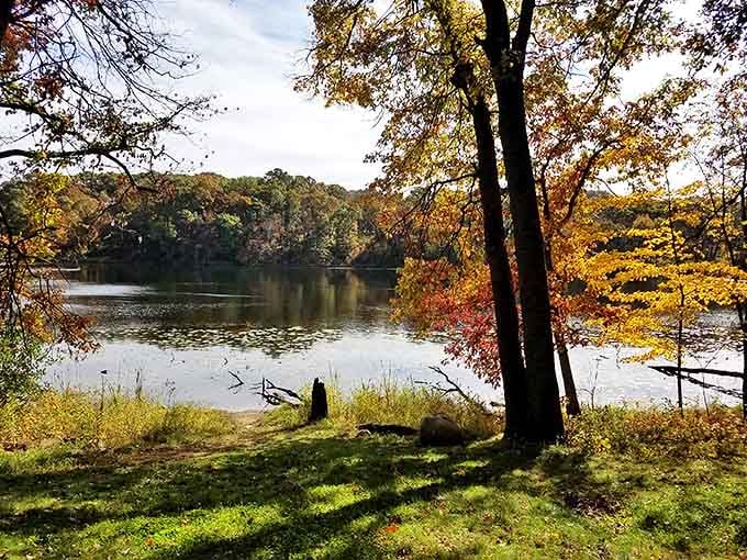Autumn paints Lebanon Hills in golden hues, the lake's surface mirroring trees dressed in their fall finery.