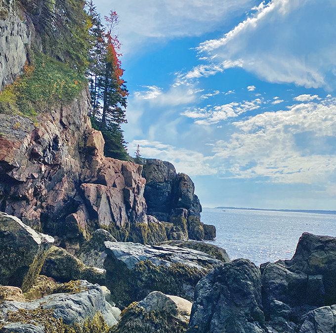Pristine beaches nestled between rocky outcroppings offer peaceful retreats to connect with nature's rhythms on Mount Desert Island.