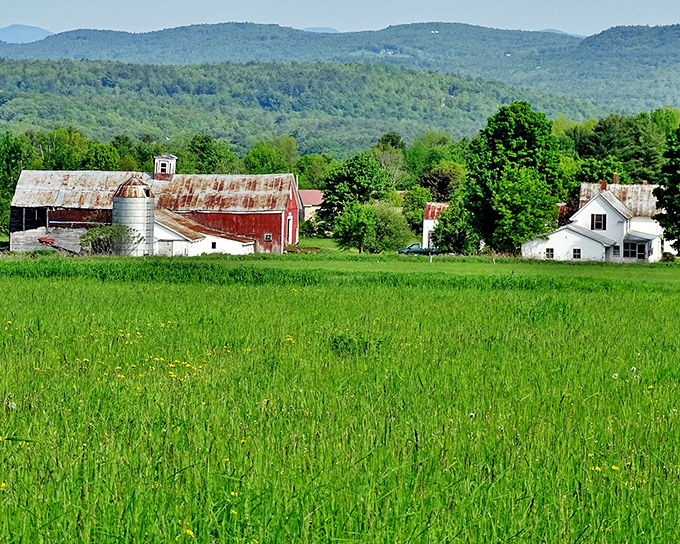 The rolling farmland surrounding Paris offers scenic vistas that might not rival the French capital but charm visitors with their pastoral beauty.