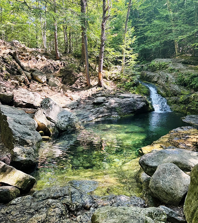 A hidden forest stream cascades through moss-covered rocks, creating the magical setting that makes Rattlesnake Flume a natural wonder.