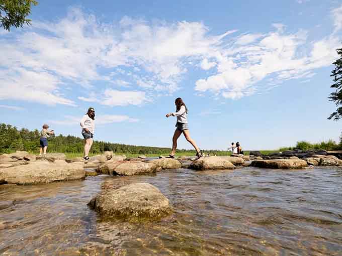 The Mississippi River creates natural beauty along its path, offering families countless spots to explore, fish, and connect with nature.
