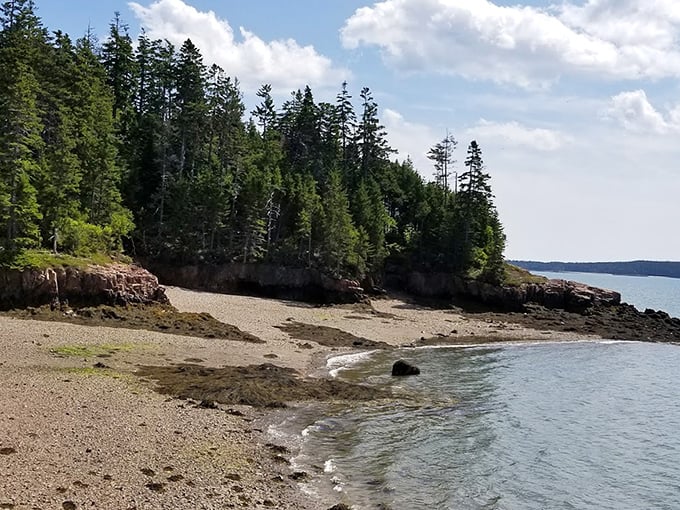 The pebble beach at Roque Bluffs State Park creates the perfect setting for discovering colorful sea glass against its dark stone backdrop. 