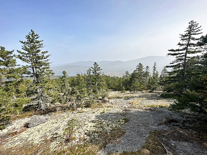 Mountain views reward hikers on Stratton's trails, offering breathtaking panoramas that make every step of the journey worthwhile.