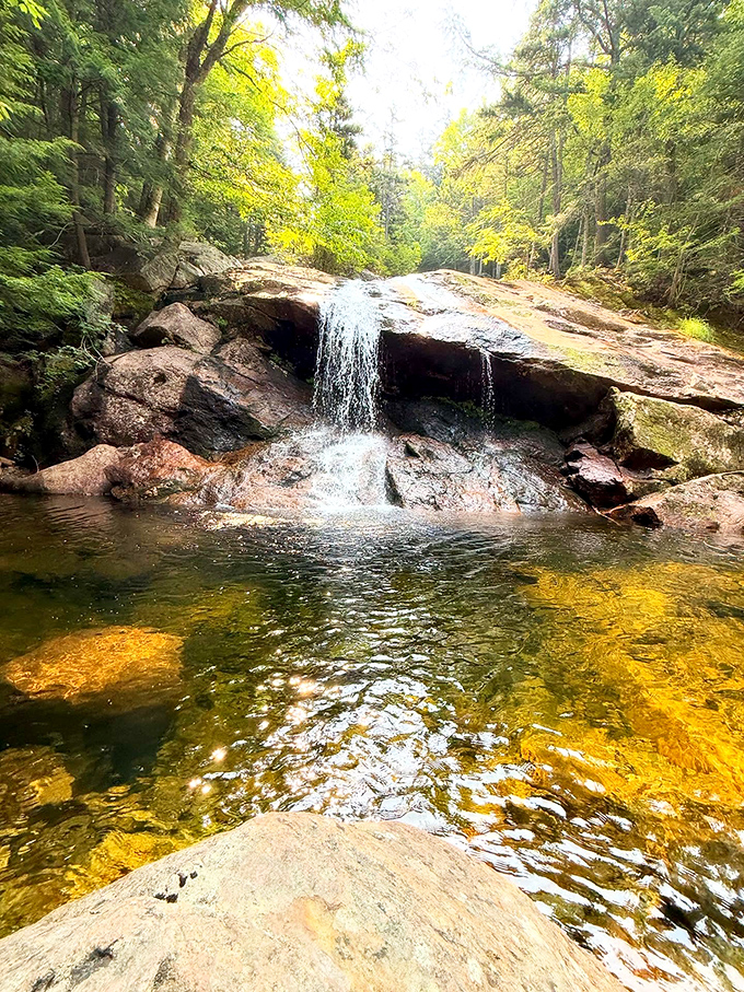 Falls roars with springtime energy, transforming the peaceful Vermont landscape into a showcase of nature's raw power.