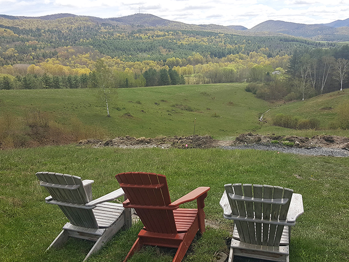 These wooden thrones offer front-row seats to nature's greatest show &ndash; no tickets required, just bring your sense of wonder.