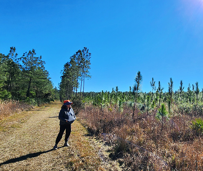 Trails beckon the adventurous through pine flatwoods, where every step forward is a step back in time.