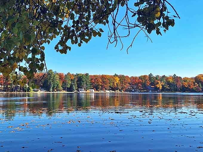 Fall transforms Wilson State Park into a painter's palette, where every maple and oak competes for the title of "most spectacular."