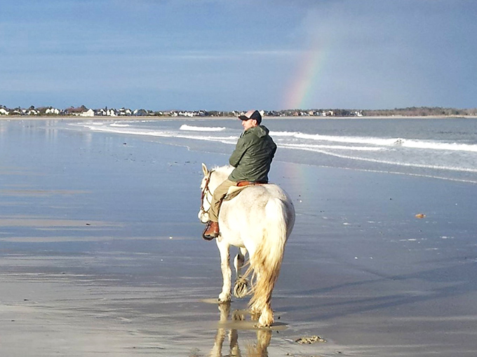 Where ocean meets hoofbeats – beach rides offer a stunning alternative to forest trails, with waves providing nature's soundtrack to your coastal adventure.
