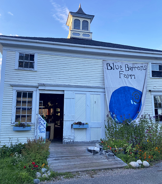Blue Barrens Farm's charming converted barn welcomes visitors with a giant blueberry banner &ndash; subtle, they are not!