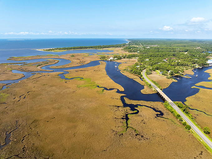 Aerial perspective reveals the intricate tapestry of coastal wetlands, where land and water engage in an eternal dance.