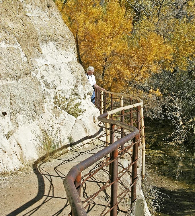 Autumn transforms the arboretum into a painter's palette of golden hues, proving deserts aren't just about cacti and sand.