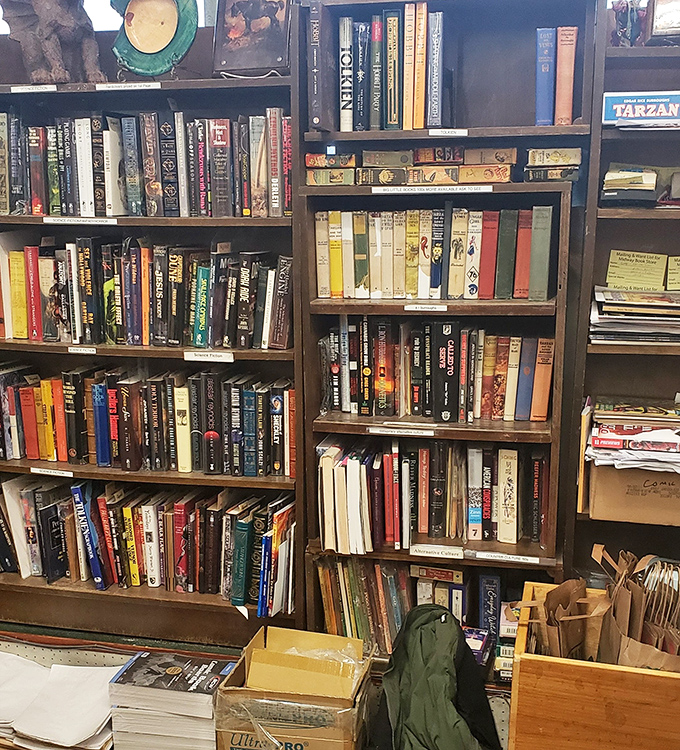 Academic texts and scholarly works stand ready to enlighten curious minds, offering deep dives into specialized knowledge without the university price tag.