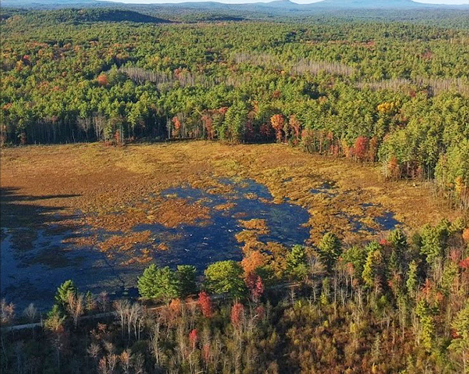 Autumn paints the marsh in shades that would make even Bob Ross exclaim, "Happy little cattails!"