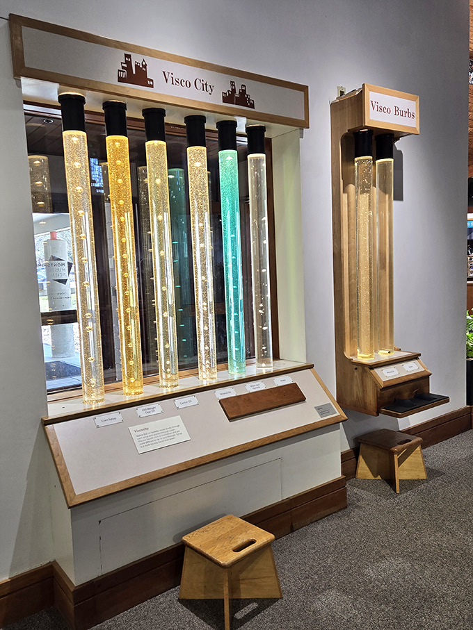 Honey or molasses? This viscosity display lets you watch different liquids race downward, proving that in science, even slowness is fascinating.