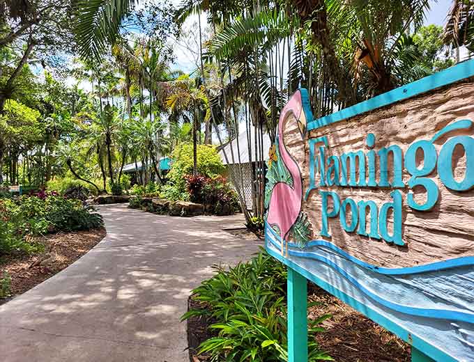 Follow this path and you're headed straight to flamingo central, where pink is always in fashion and attitude is everything.