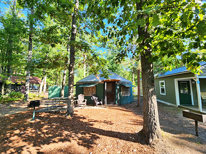 Forest yurts stand like woodland sentinels, their canvas walls whispering promises of adventure with surprising comfort.