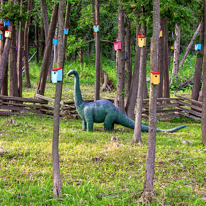 "The neighbors are quite small, but they make excellent watchbirds." A dinosaur stands guard among the colorful avian apartments.