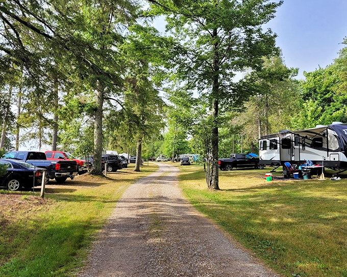 Fox Park's gazebo and lighthouse create a postcard-perfect scene that practically demands a family photo or quiet moment of reflection.