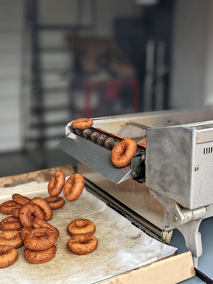 The magical moment when fresh donuts emerge from their oil bath, ready to be transformed into cinnamon-sugar perfection that haunts dreams.