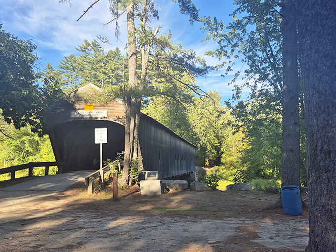 The historic covered bridge creates a perfect frame for the surrounding wilderness, a masterpiece of functional architecture in rural Maine.