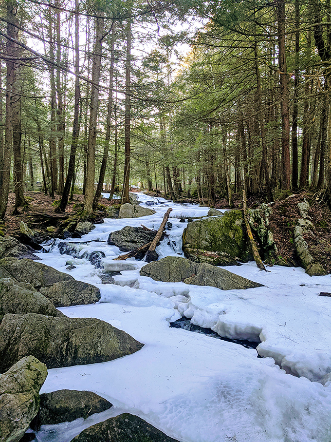 Winter transforms the rushing waters into a frozen masterpiece &ndash; Mother Nature's ice sculpture competition with herself.