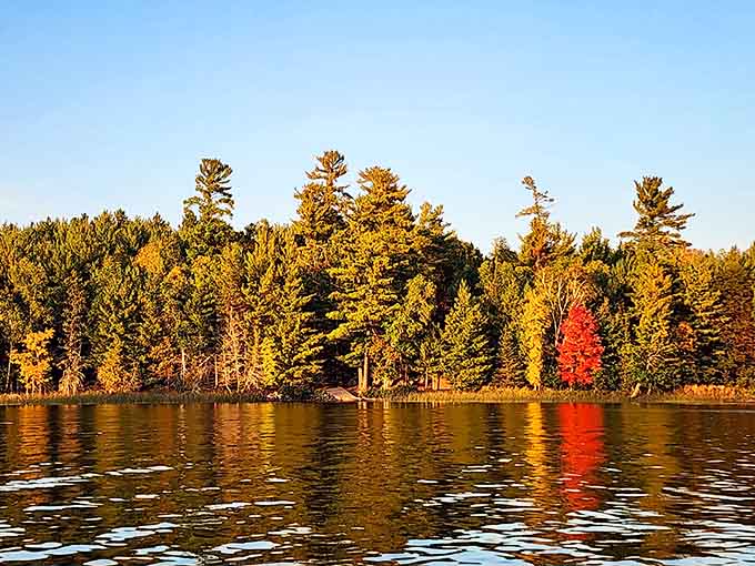 Autumn transforms the surrounding shoreline into a painter's palette, proving that Jackrabbit Island delivers spectacular views in every season.