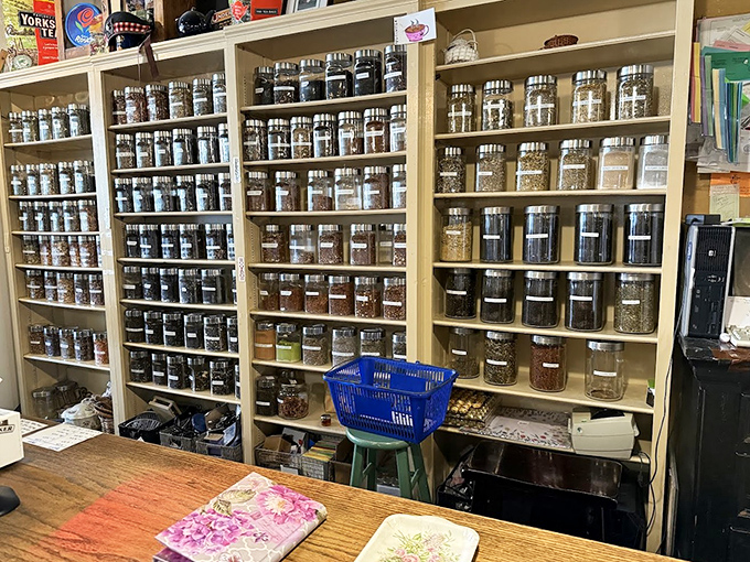 The wall of possibility &ndash; dozens of glass jars filled with loose-leaf treasures, each promising a different journey without leaving your chair.
