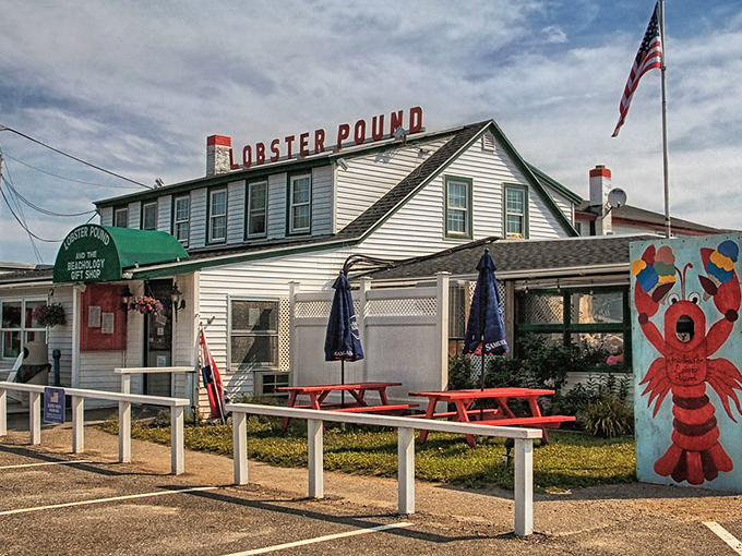 Lobster Pound: Where seafood dreams come true and bibs are not optional &ndash; the kind of place that ruins chain restaurants forever.