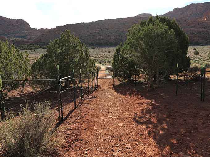 Following the path through classic high desert terrain where every Western movie suddenly makes perfect sense.