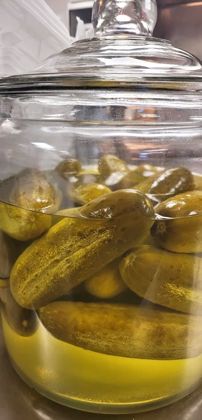 A jar of pickles on display like edible artwork, ready to add that essential crunch to your Chicago-style creation.