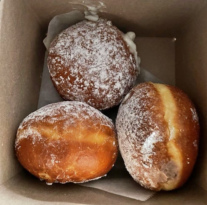 Pączki that inspire devotion – these powdered Polish doughnuts aren't just seasonal treats, they're the reason people set alarm clocks on Fat Tuesday.