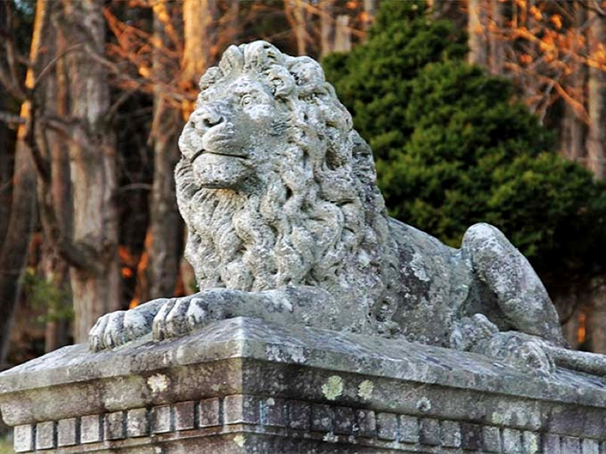 This weathered guardian has kept silent watch for generations, his stone mane catching golden light at day's end.