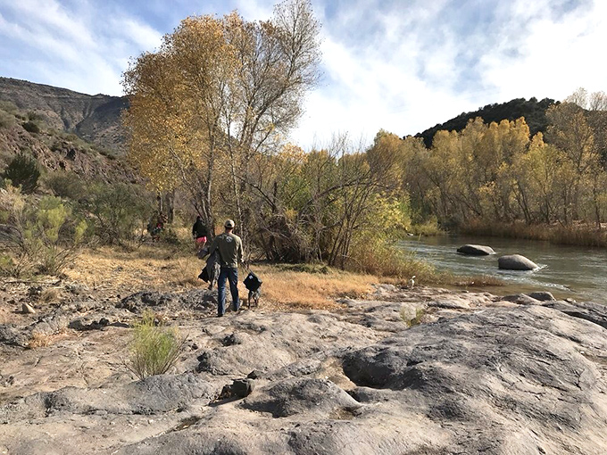 Autumn paints the riverside with golden brushstrokes, creating a perfect backdrop for your hot springs pilgrimage.